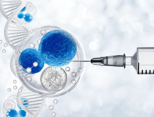 Peptide Therapy Guide: How It Works, Benefits, and Safety